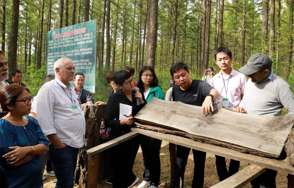 Restoration Factory Program - Bridge for Billions Programs