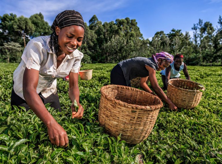 Restoration Factory Program Rwanda for Entrepreneurs