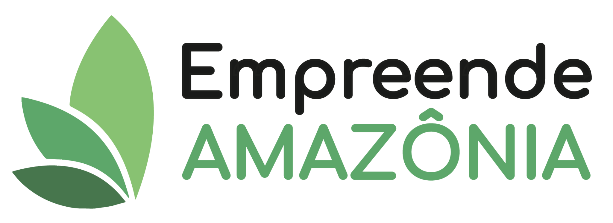Empreende AMAZÔNIA - O programa de incubação para ecoempreendedores
