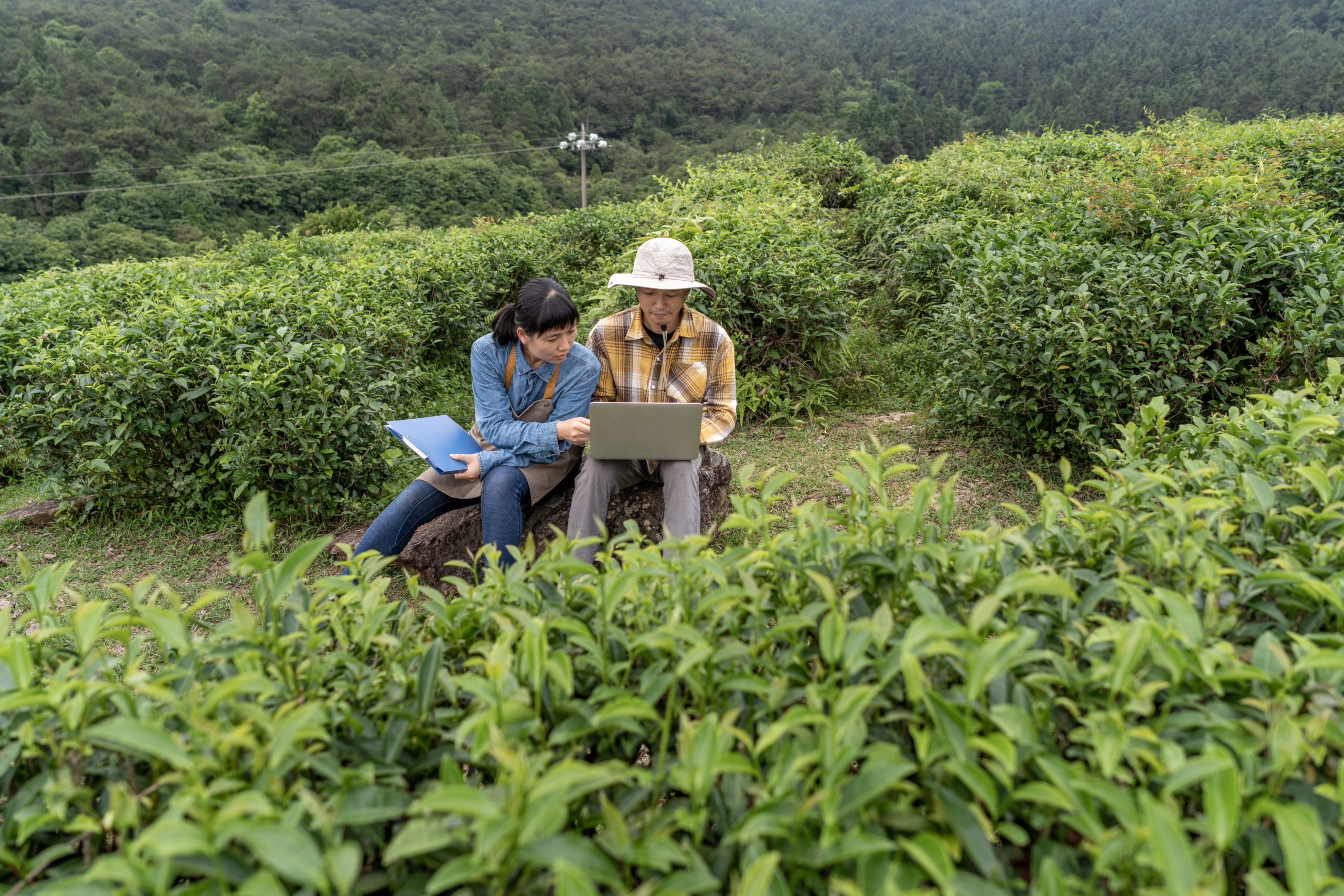 SAFE Initiative - LSOs